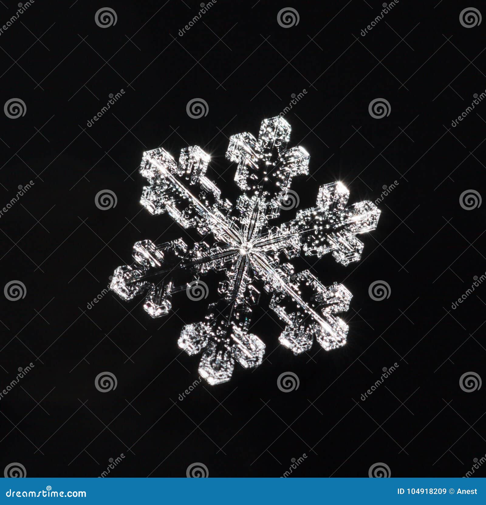 Macro Do Floco De Neve Grande Imagem de Stock - Imagem de geado ...