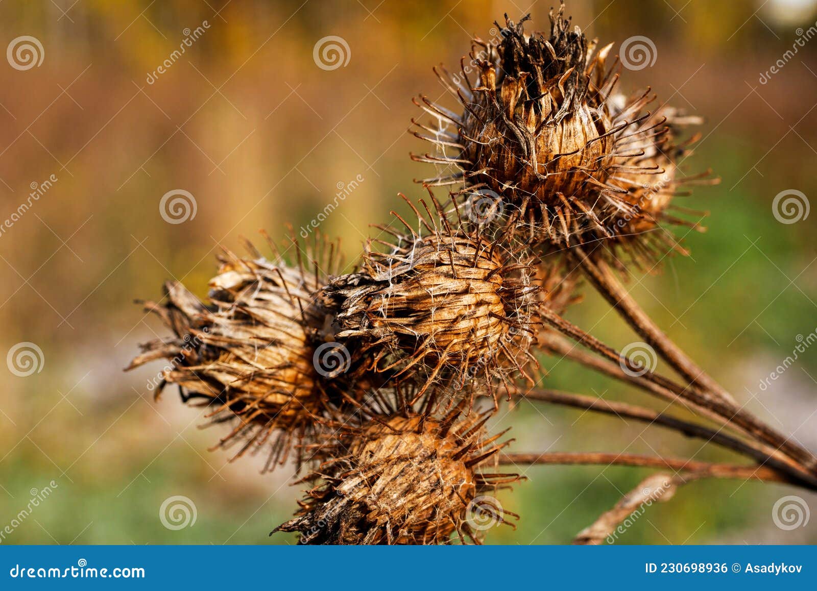 Catchy Hooks Stock Photos - Free & Royalty-Free Stock Photos from ...