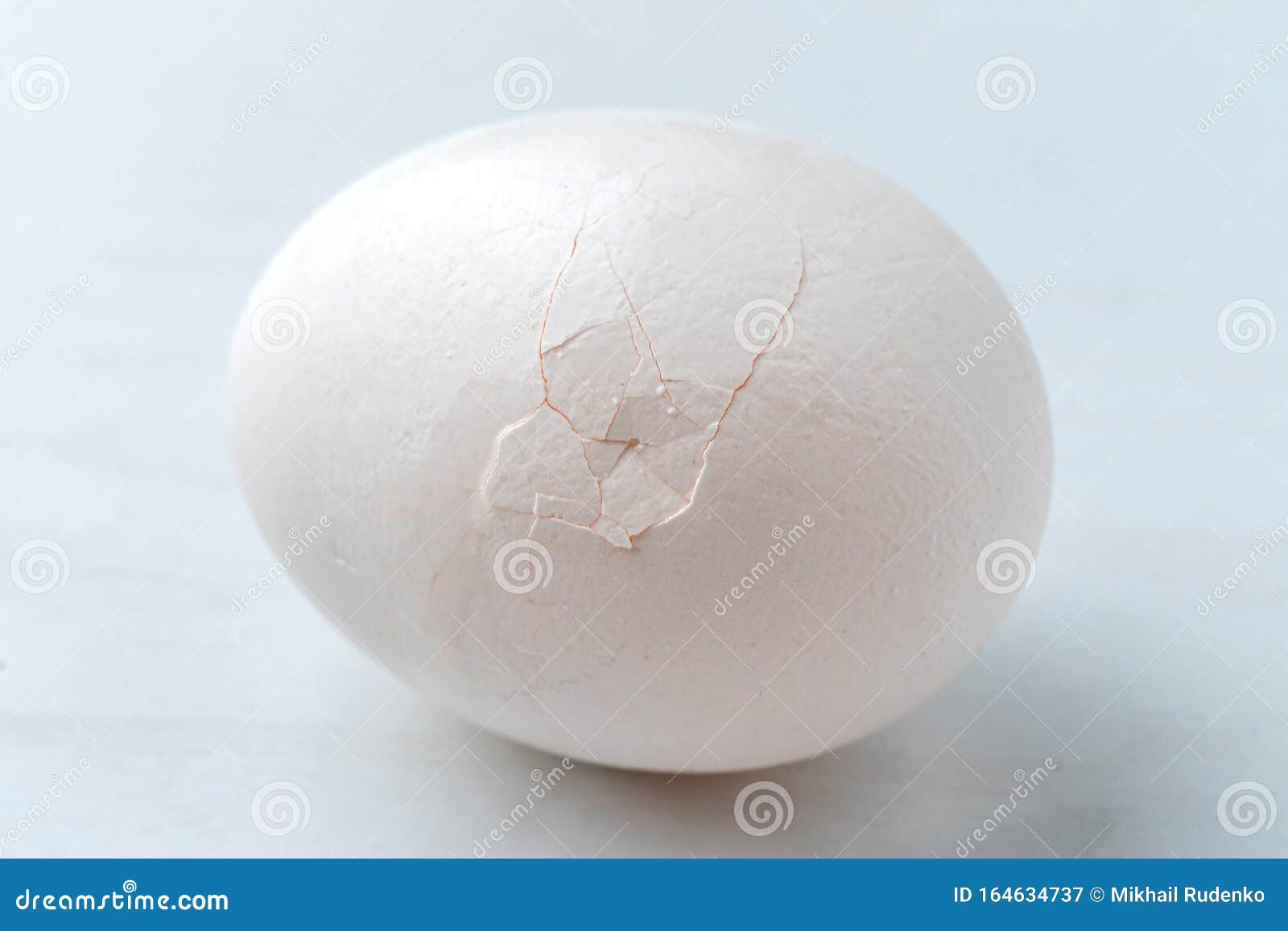 The Macro of the Egg Skin or Shell Surface with a Small Crack on it ...