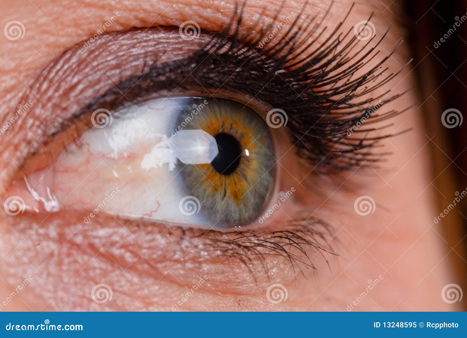 Macro Eye stock image. Image of closeup, care, clean - 13248595