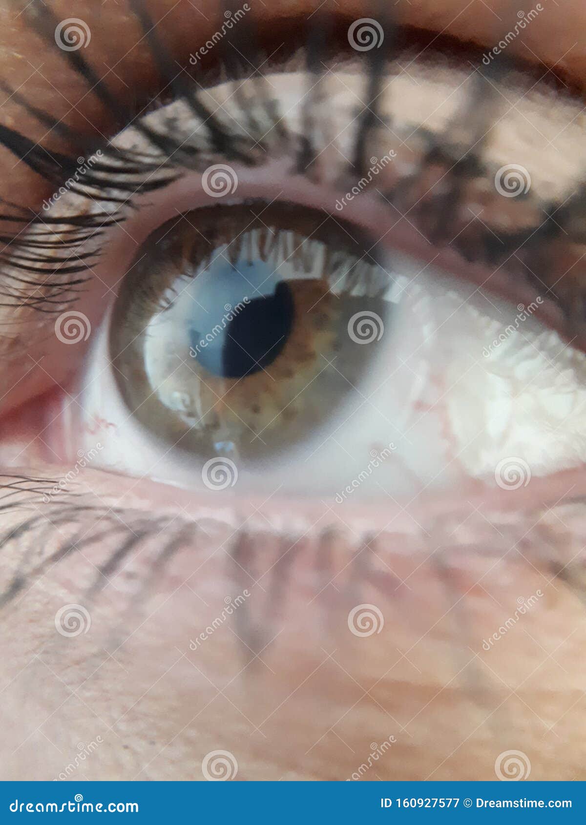 Macro eye stock image. Image of macro, makeup, eyeball - 160927577