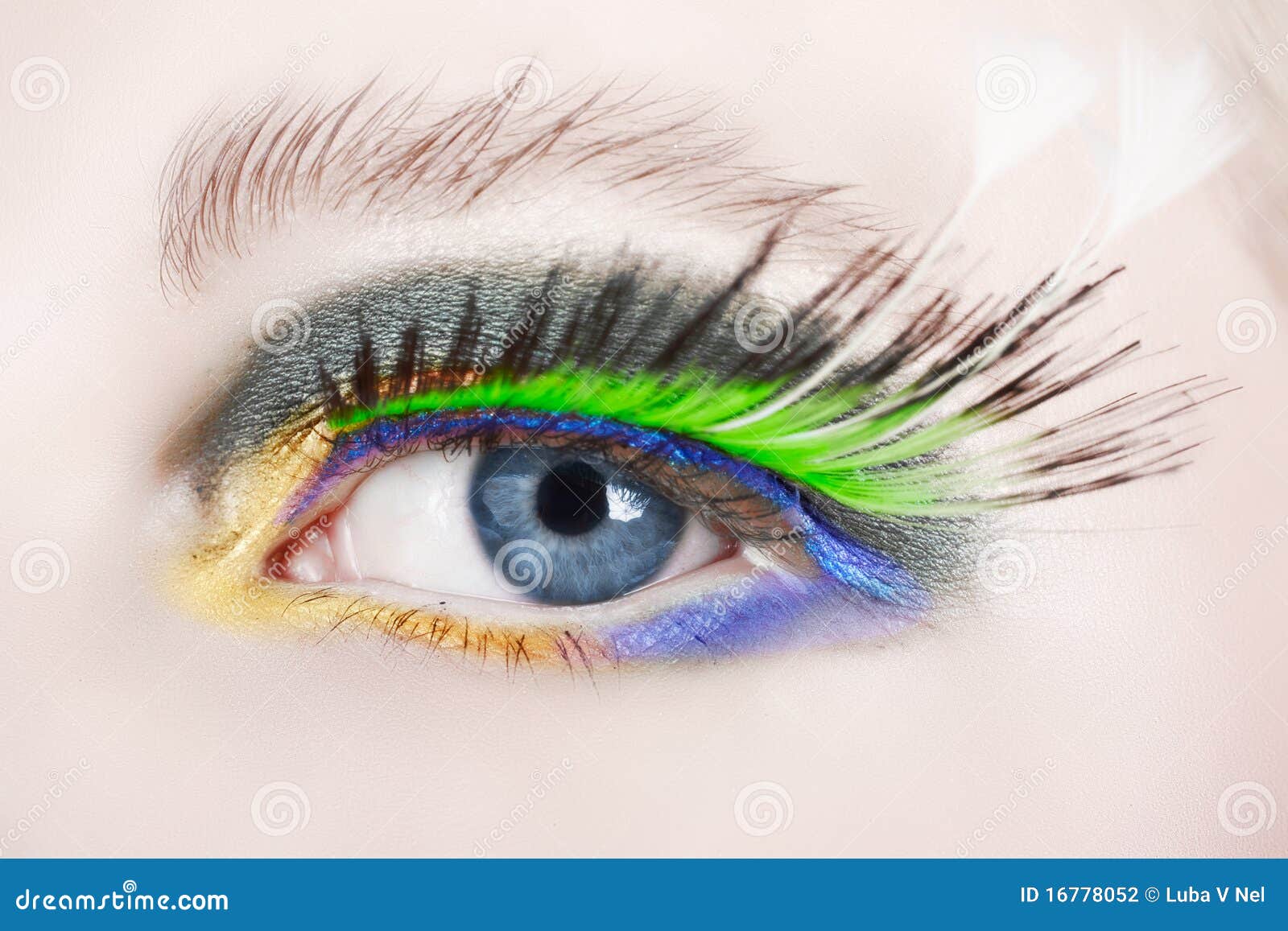 Macro Eye with False Lashes Stock Photo - Image of bright, colorful ...