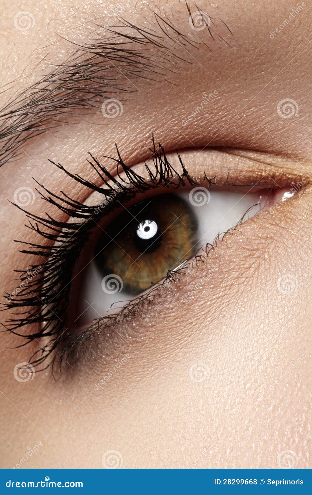 Macro Eye with Fashion Light Make-up, Long Eyelashes Stock Photo ...