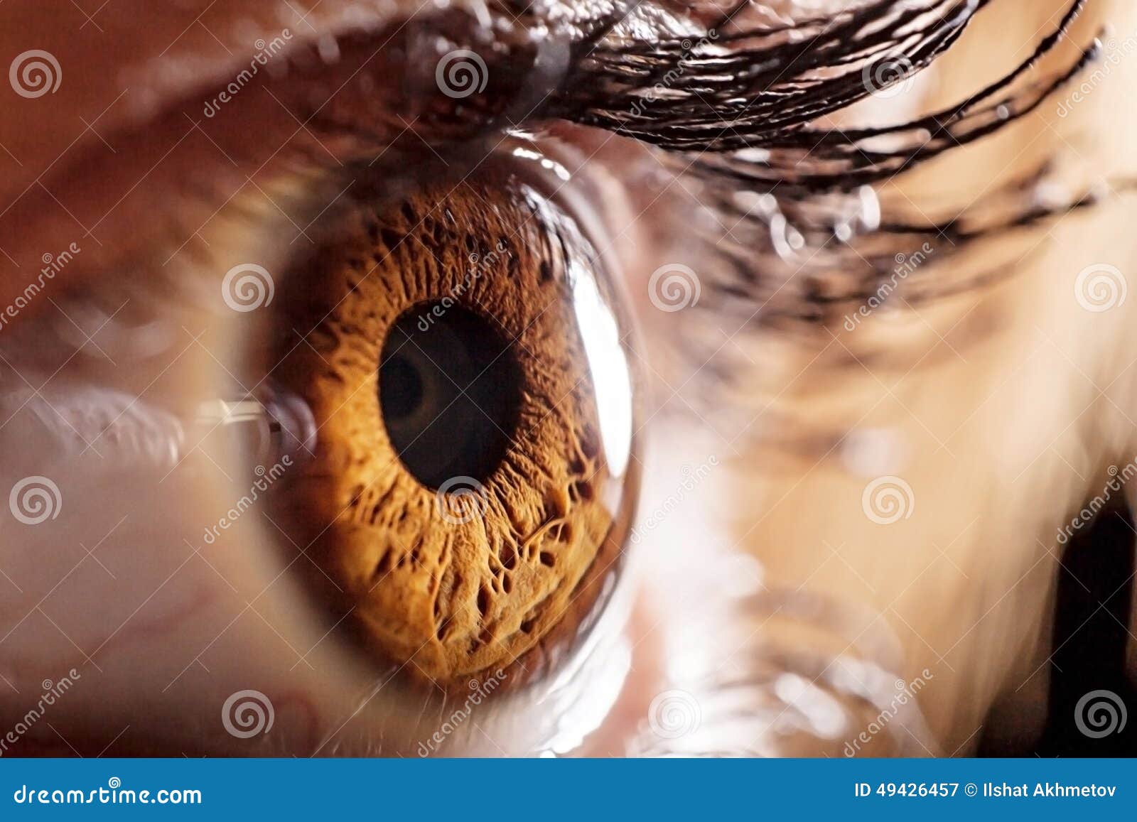 Macro eye stock image. Image of close, black, beauty - 49426457