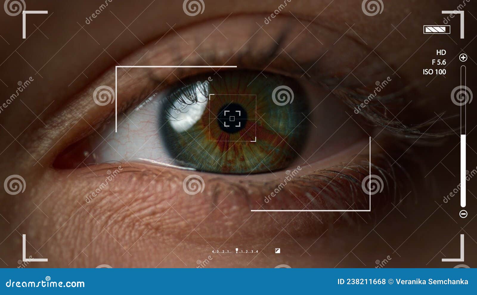Scanning Of The Eye Retina For The Recognition Of People Through ...