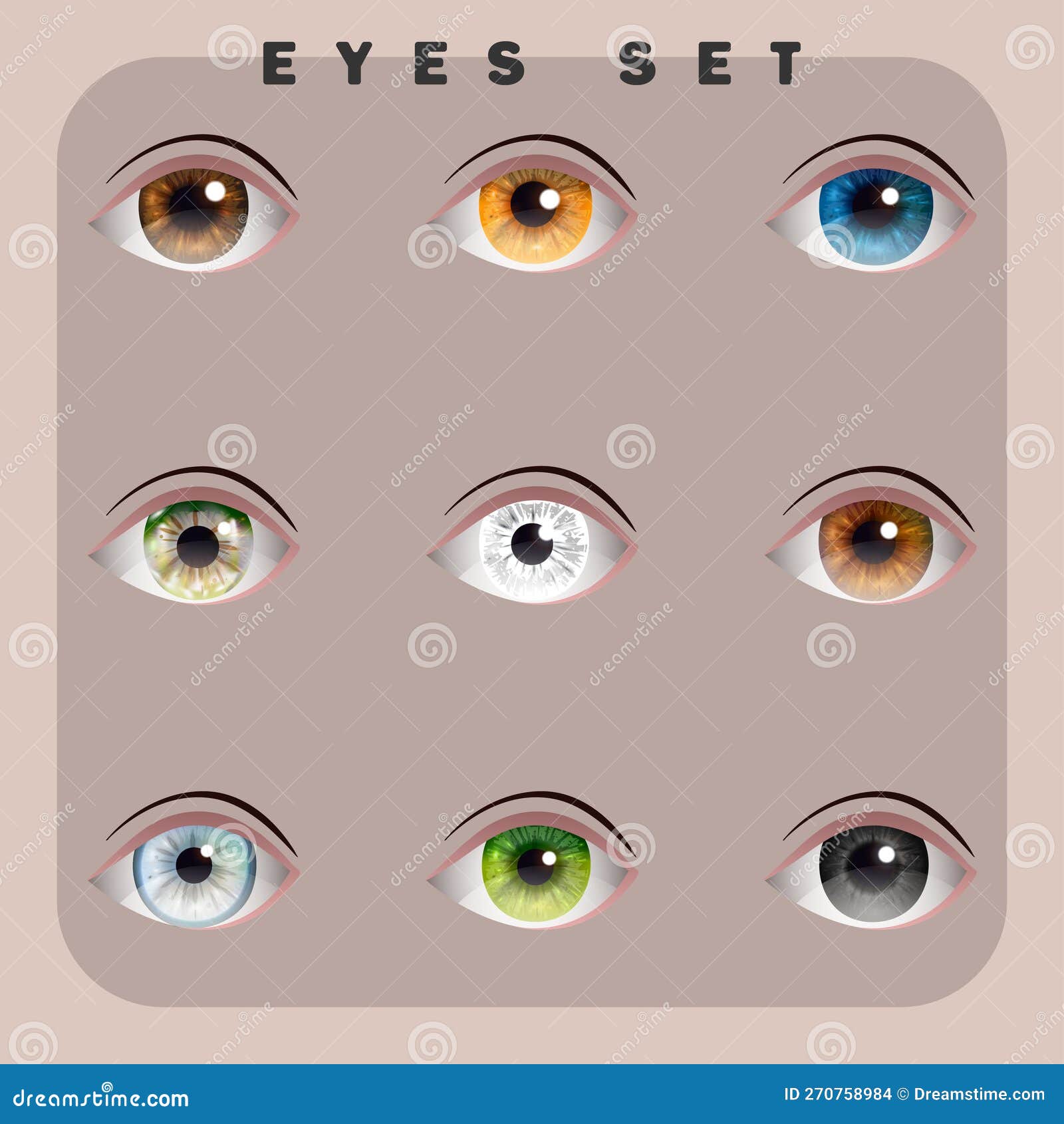 Eyes Set Collection, Different Color Eyes, Vector Group of Eyes Stock ...