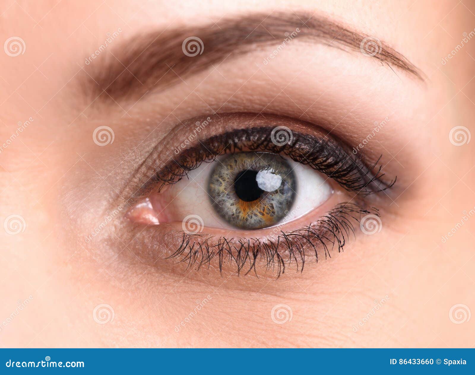 Macro of female eye stock photo. Image of female, macro - 86433660