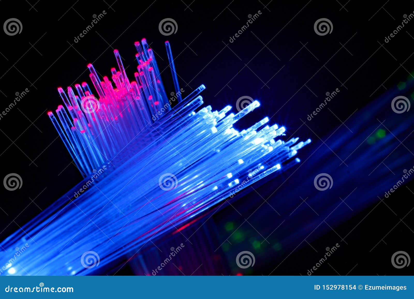 Macro Fiber Optic Cable stock photo. Image of bandwidth - 152978154