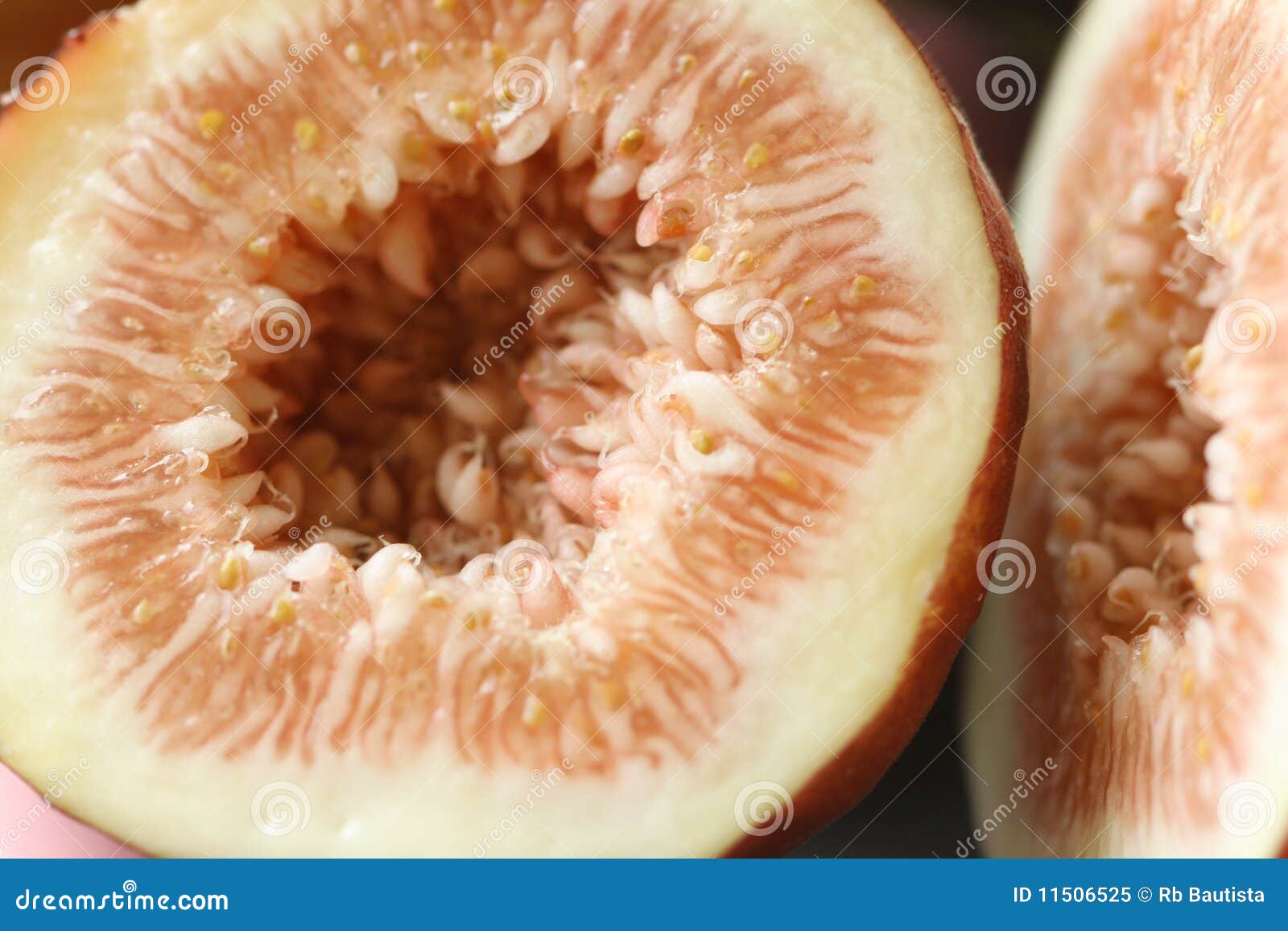 Macro of fig fruit stock image. Image of closeup, details - 11506525