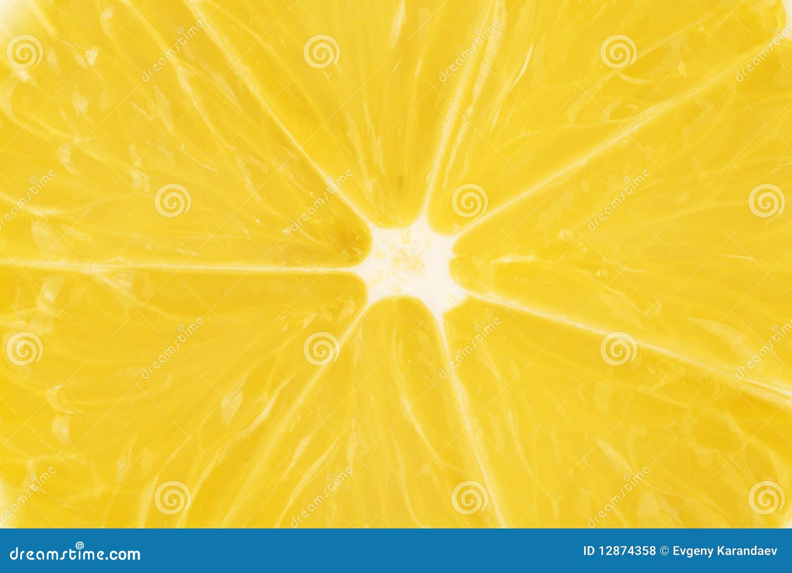 Macro Food Collection - Lemon Texture Stock Photo - Image of sweet ...
