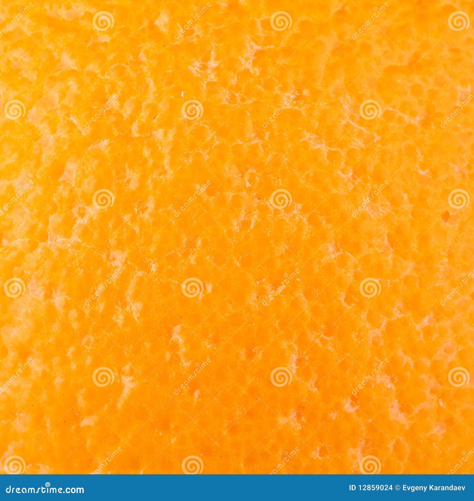 Macro Food Collection - Orange Rind Stock Photo - Image of single, rind ...