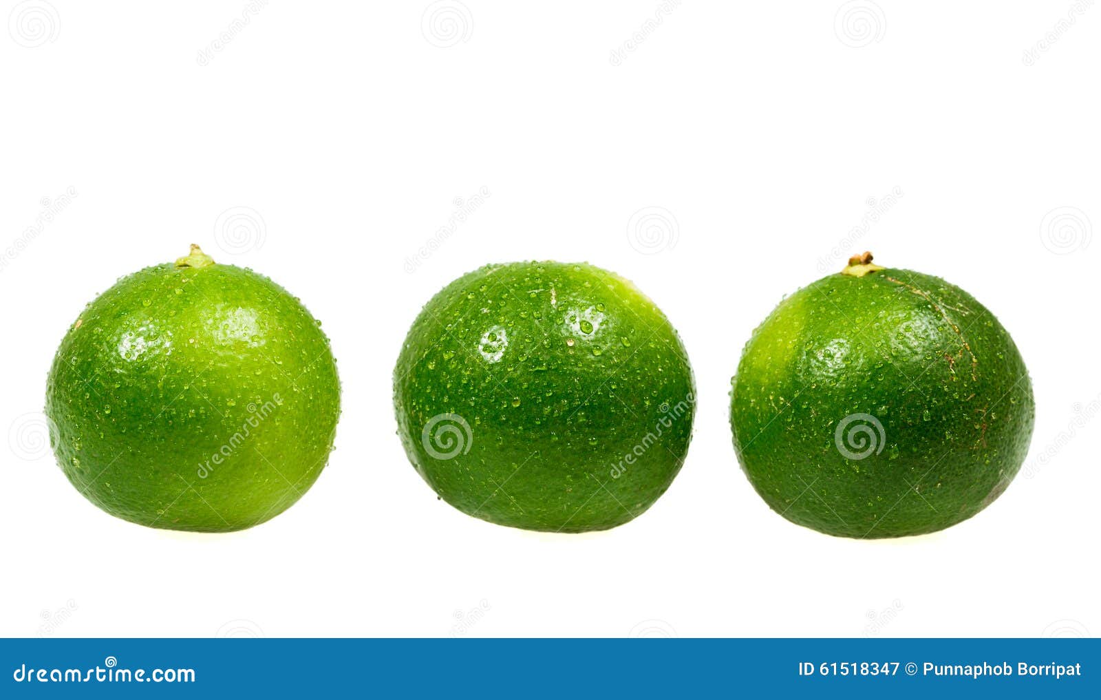 Macro fresh Lime isolated stock image. Image of nature - 61518347