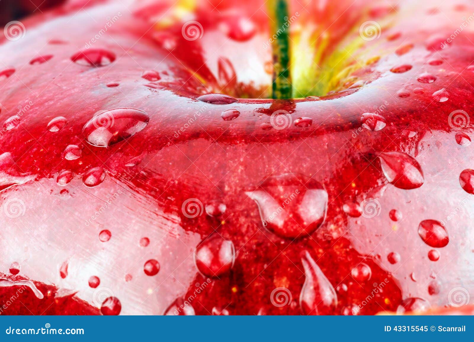 Macro of Fresh Red Wet Apple Stock Image - Image of crop, gardening ...