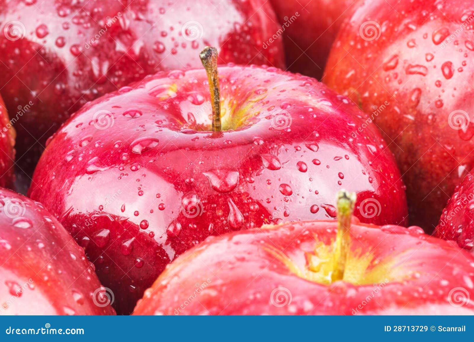 Macro of Fresh Red Wet Apples Stock Image - Image of health, harvest ...