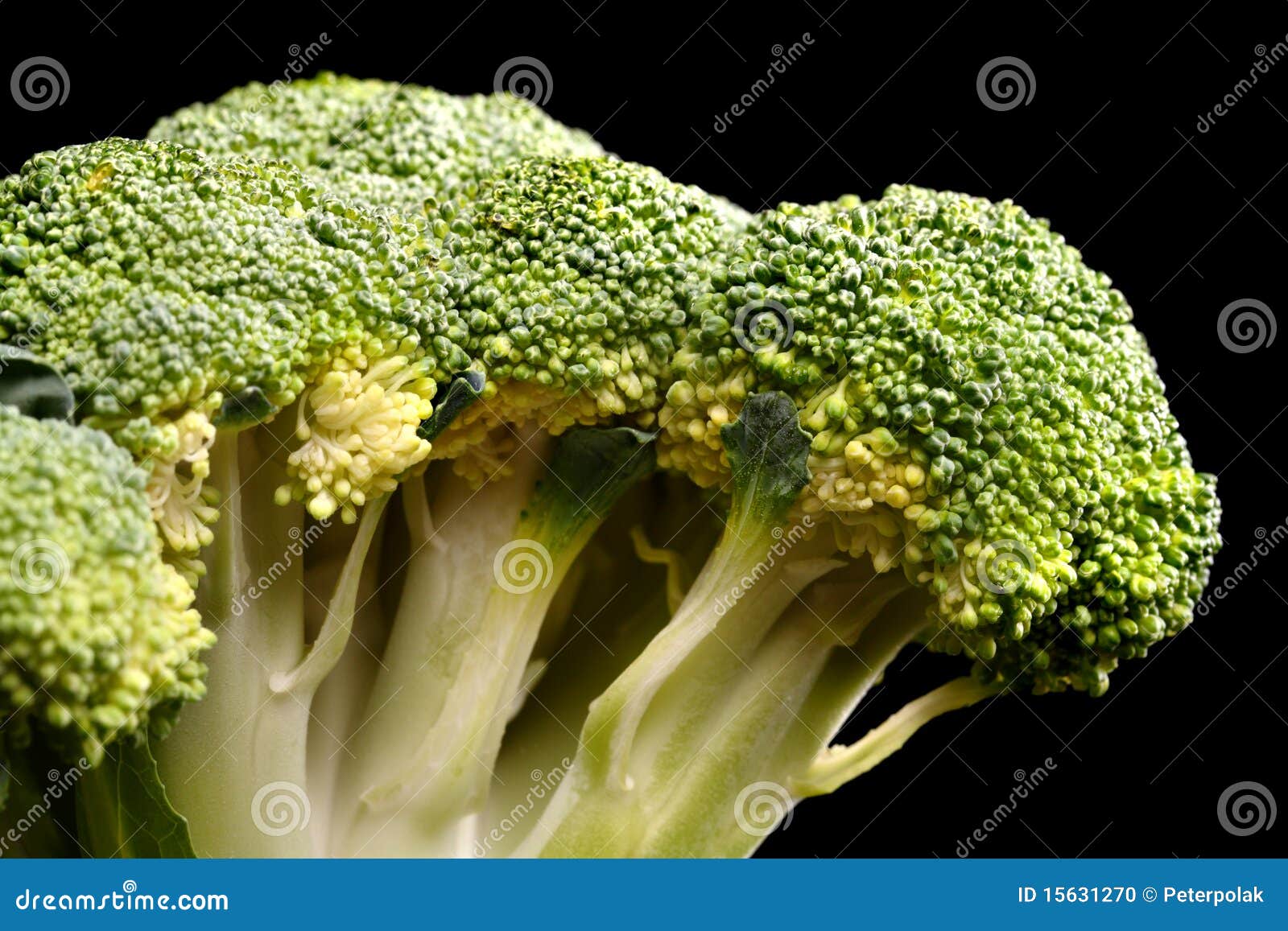 Macro of Fresh Ripe Broccoli Isolated on Black Stock Photo - Image of ...
