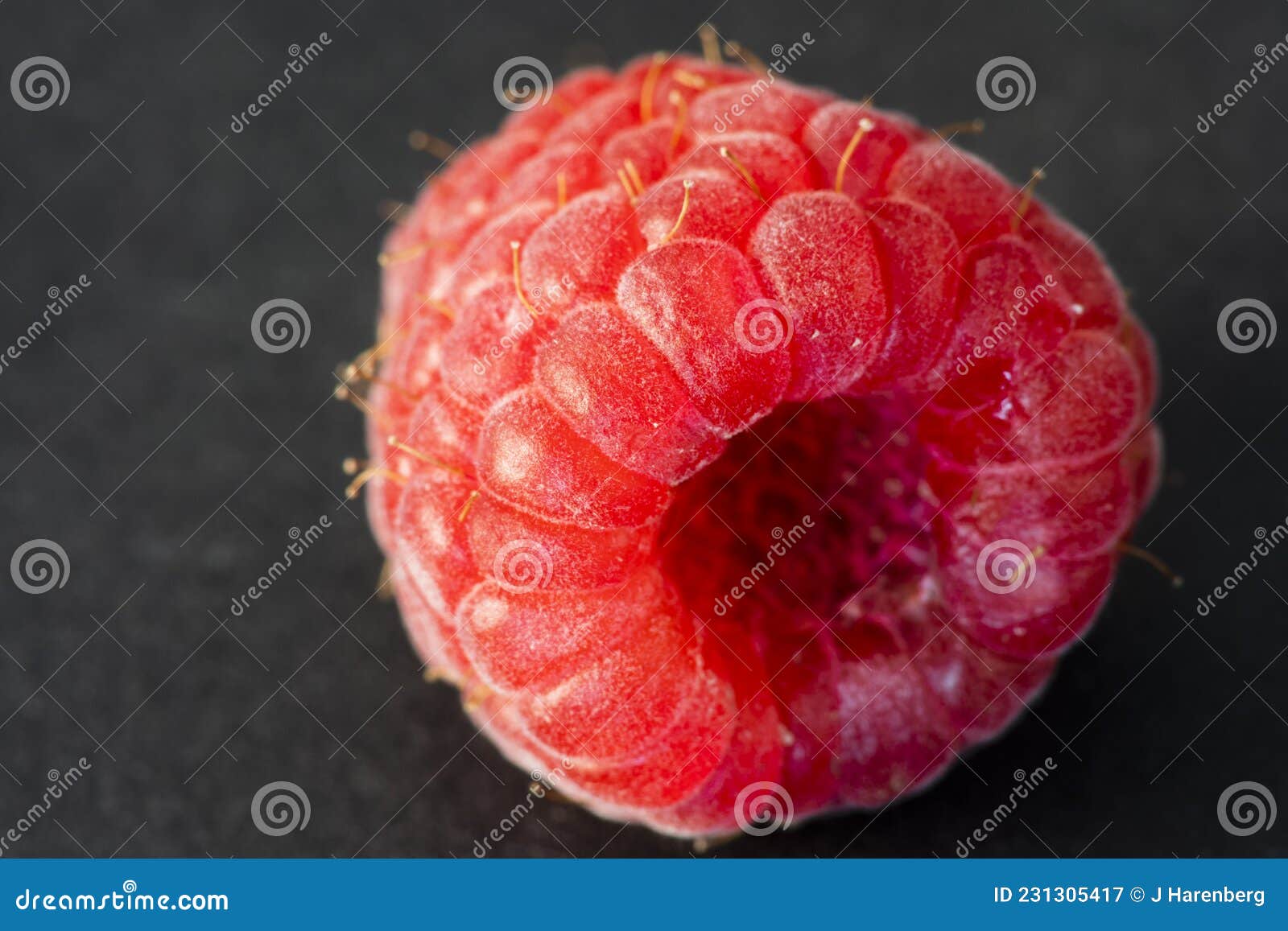 Macro Fruit: Ripe Raspberry Extreme Close-up, Black Background ...