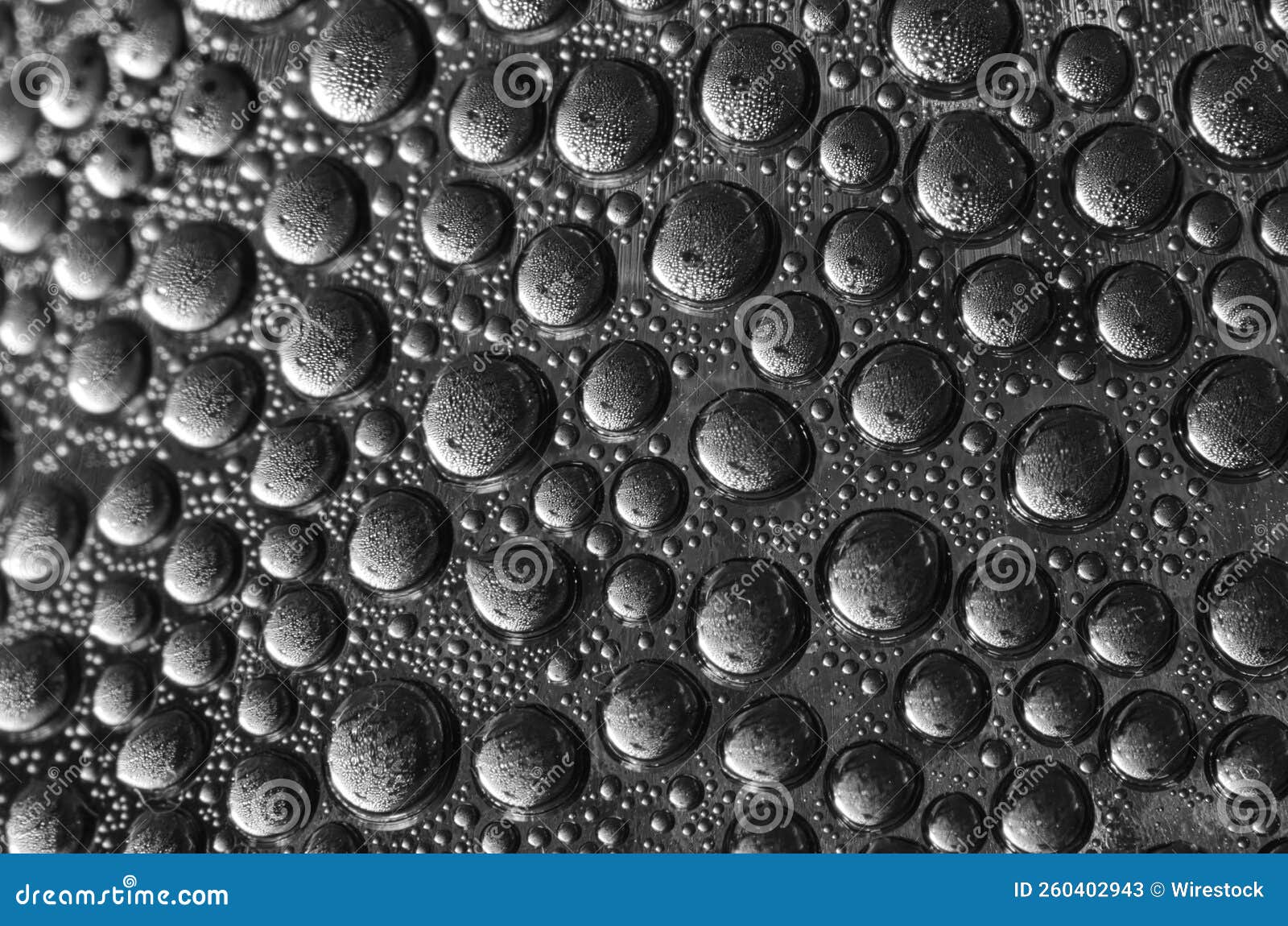 Macro Grayscale Shot of Water Drops Inside Plastic Bottle Stock Image ...