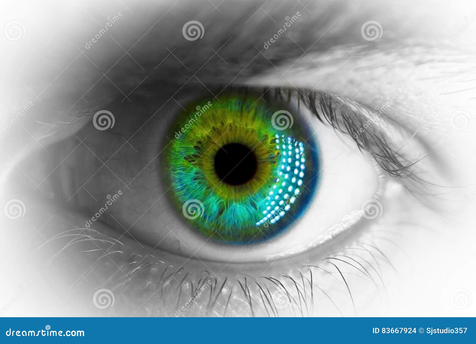 Macro Green Eye Close Up Black and White and Color Stock Photo - Image ...