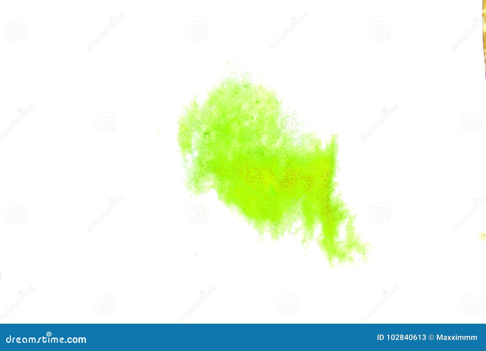 Macro the Green Spot Blotch Texture Isolated on a White Backgrou Stock ...
