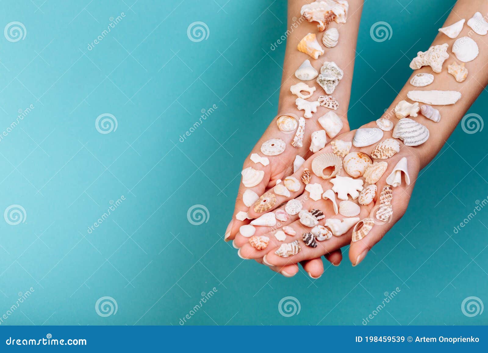 Macro of Hand Holding Different Kinds of Seashells, Corals in Front of ...