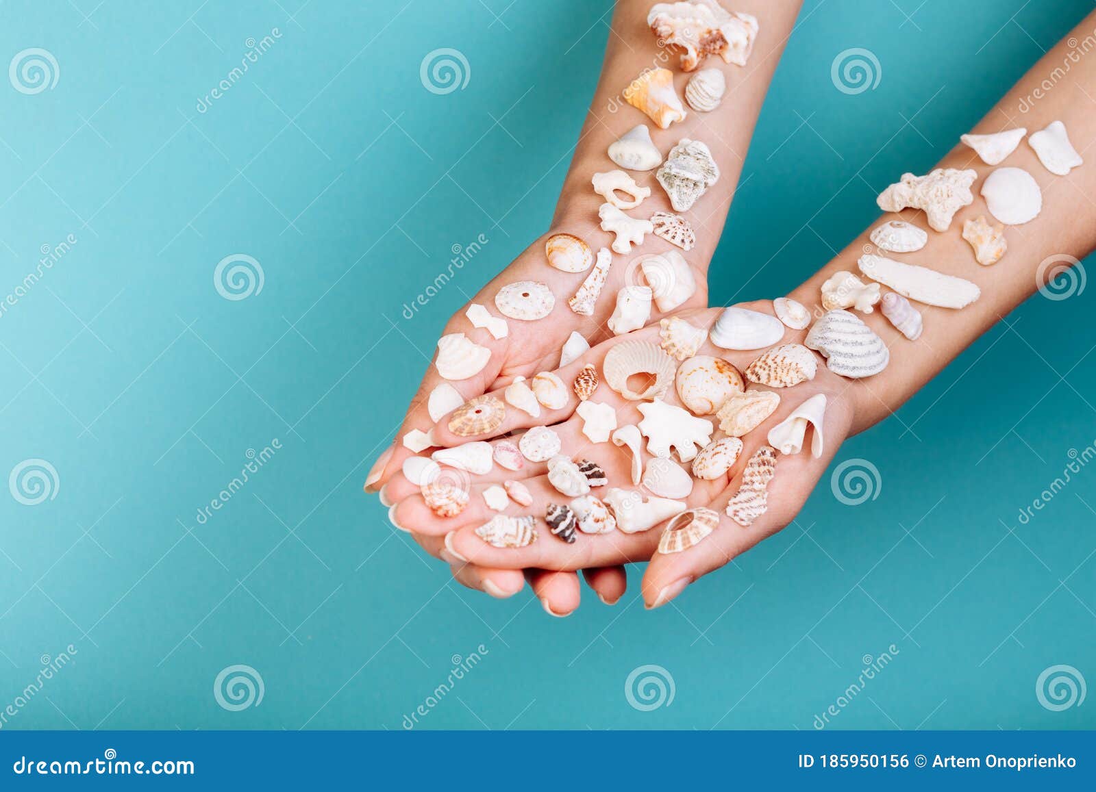 Macro of Hand Holding Different Kinds of Seashells, Corals in Front of ...