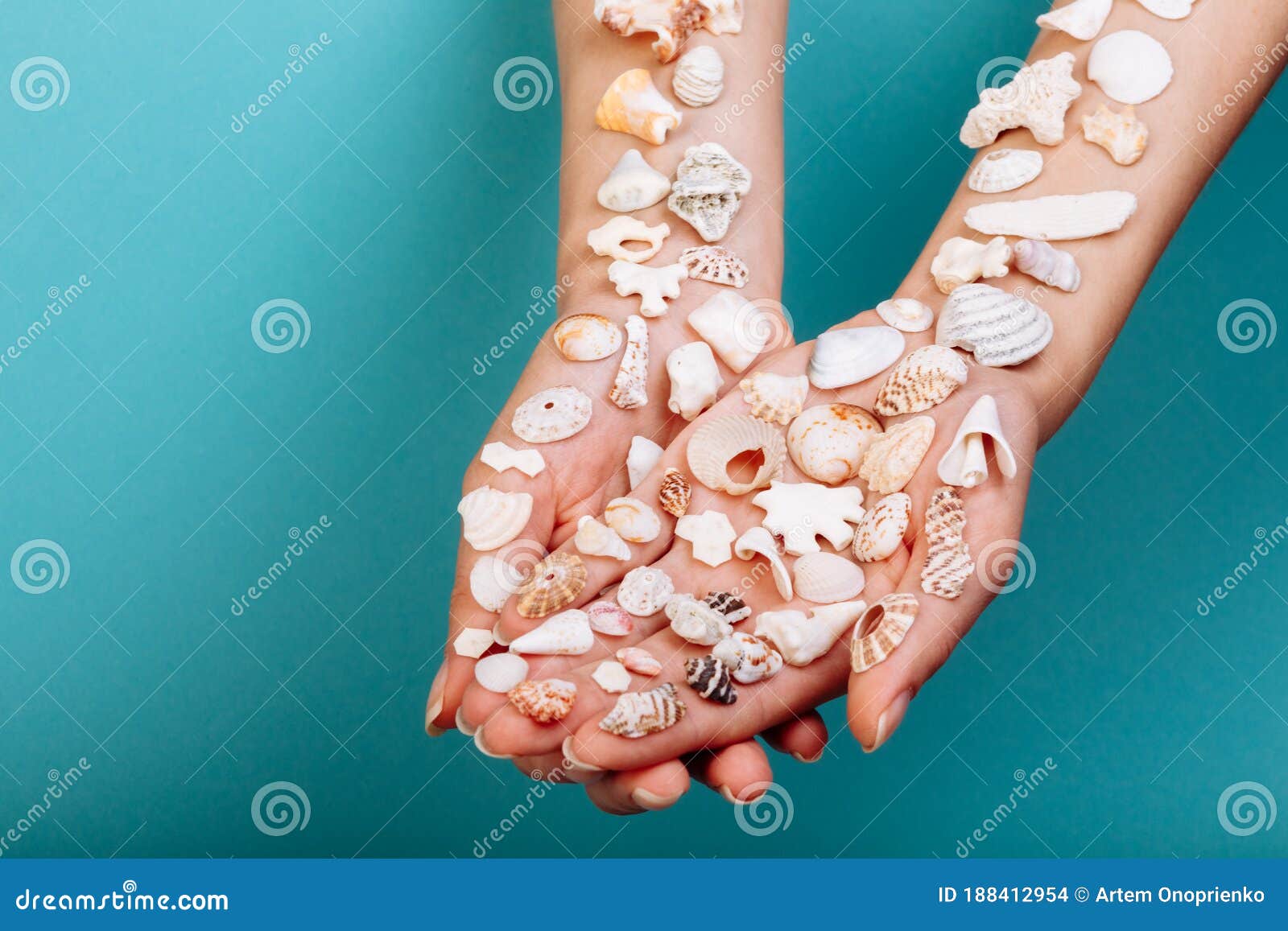 Macro of Hand Holding Different Kinds of Seashells, Corals in Front of ...