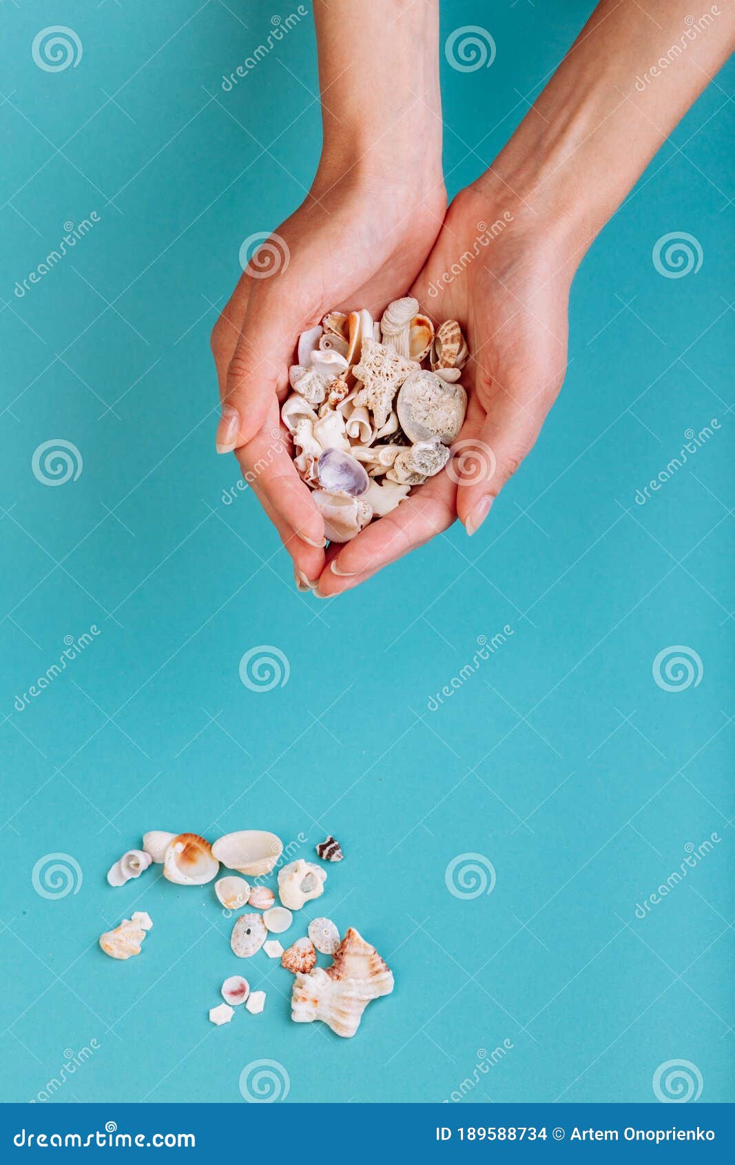 Macro of Hand Holding Different Kinds of Seashells, Corals in Front of ...