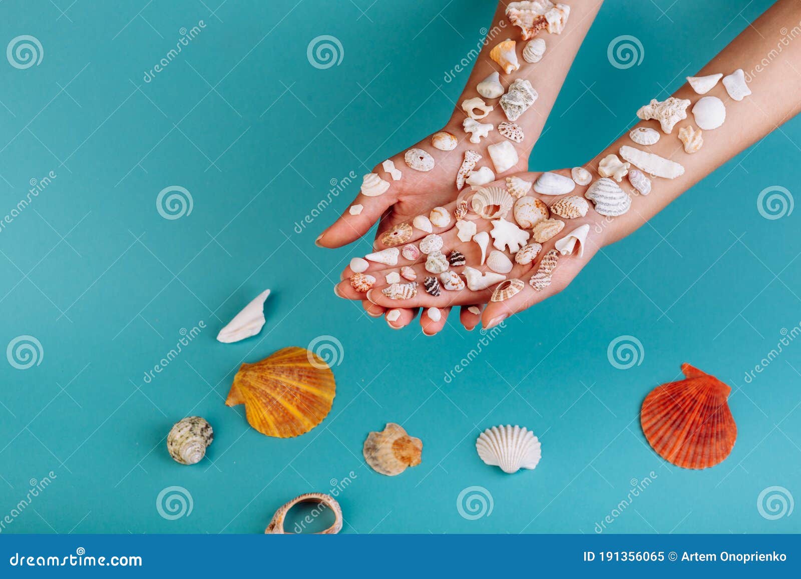 Macro of Hand Holding Different Kinds of Seashells, Corals in Front of ...