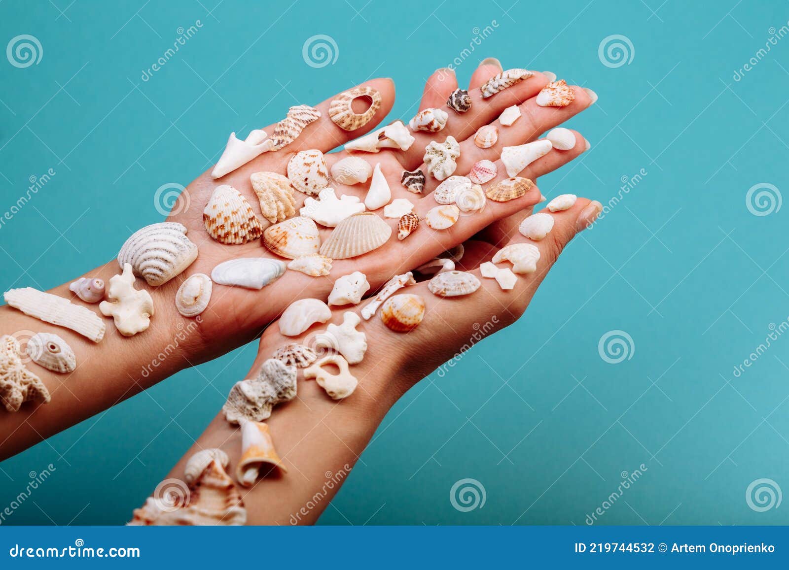 Macro of Hand Holding Different Kinds of Seashells, Corals in Front of ...