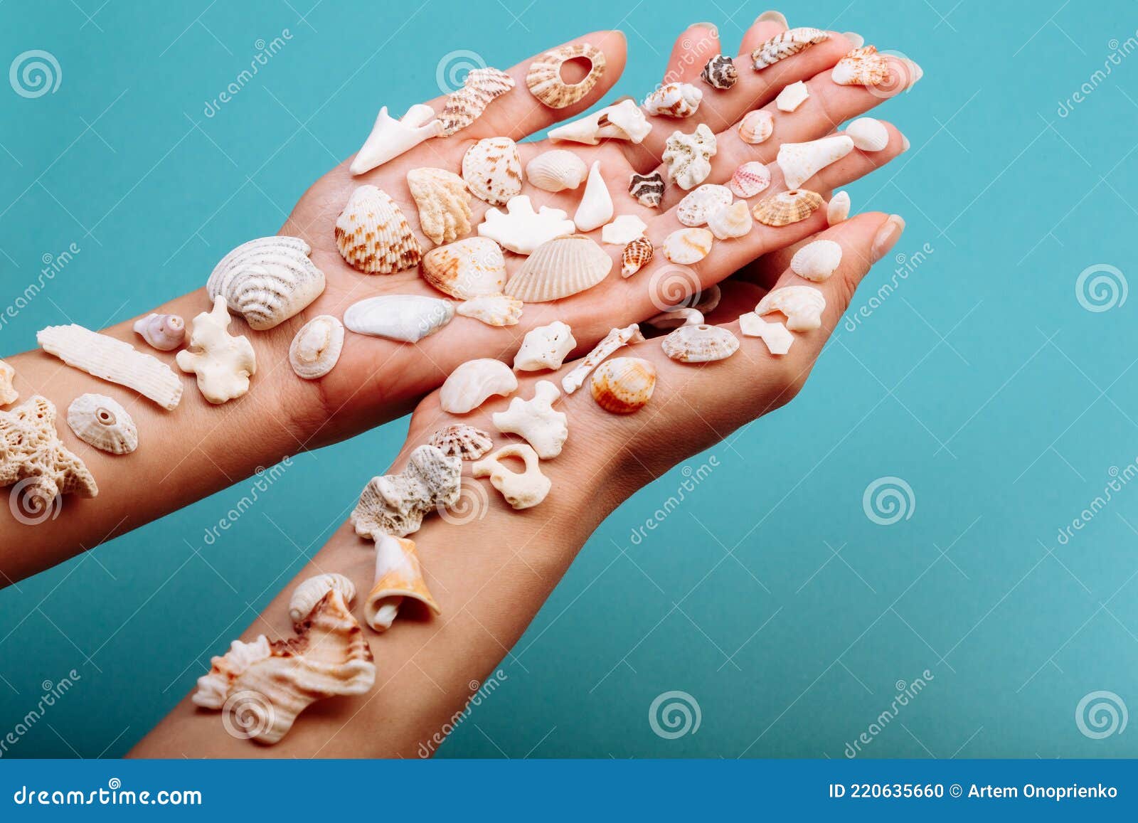 Macro of Hand Holding Different Kinds of Seashells, Corals in Front of ...