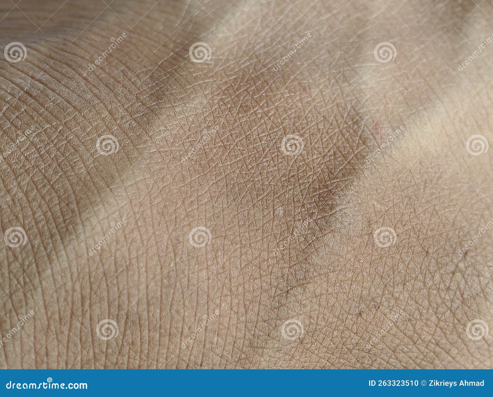 Macro of hand skin texture stock photo. Image of pattern - 263323510