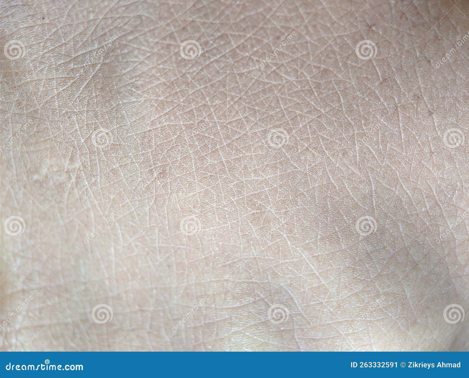 Macro of hand skin texture stock image. Image of circle - 263332591