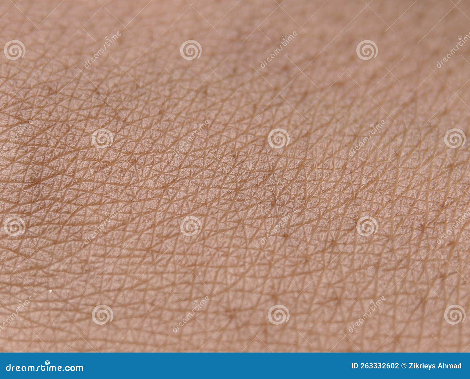 Macro of hand skin texture stock photo. Image of hardwood - 263332602