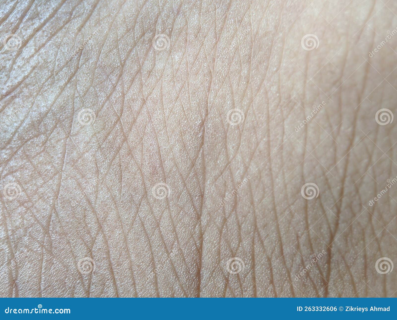 Macro of hand skin texture stock photo. Image of white - 263332606
