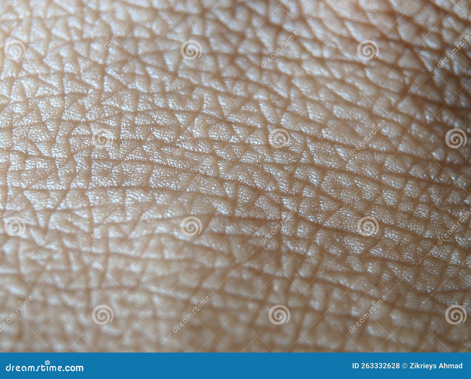 Macro of hand skin texture stock photo. Image of flower - 263332628