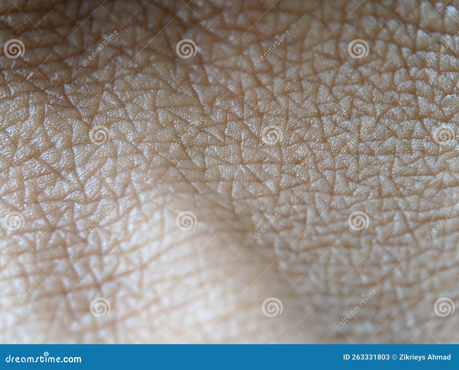 Macro of hand skin texture stock image. Image of pattern - 263331803
