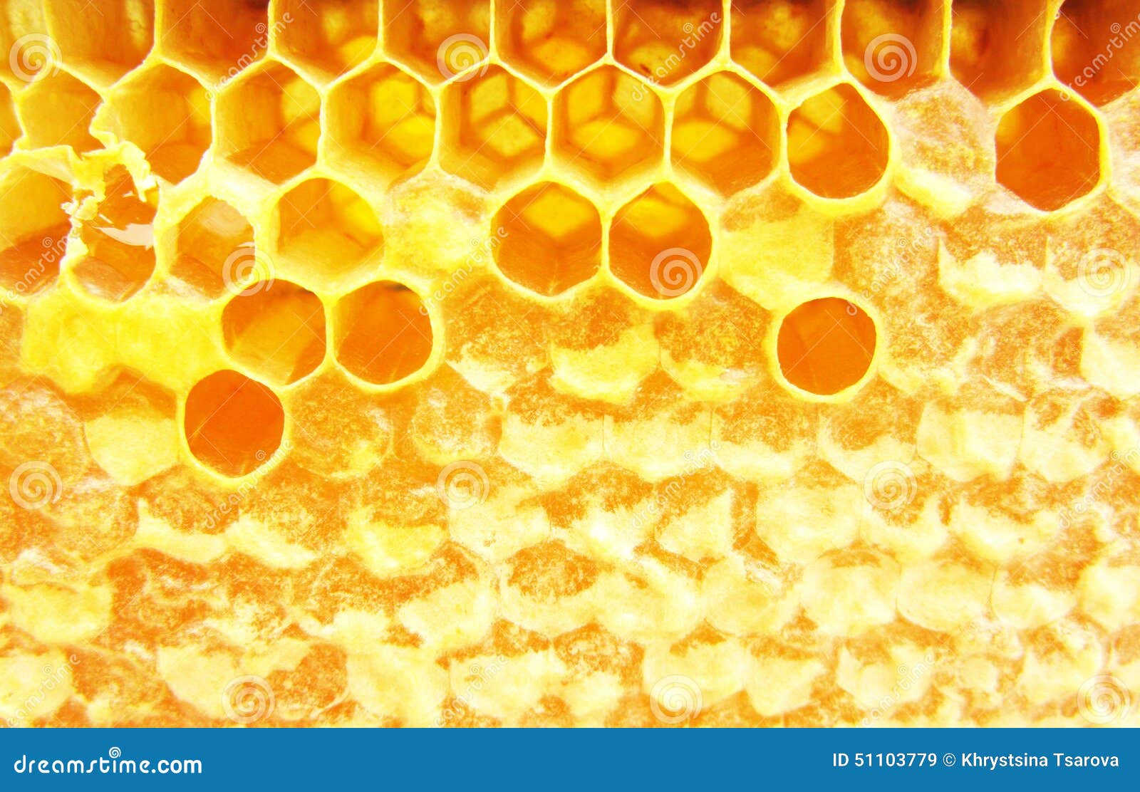 Macro hineycomb with honey stock image. Image of hexagon - 51103779
