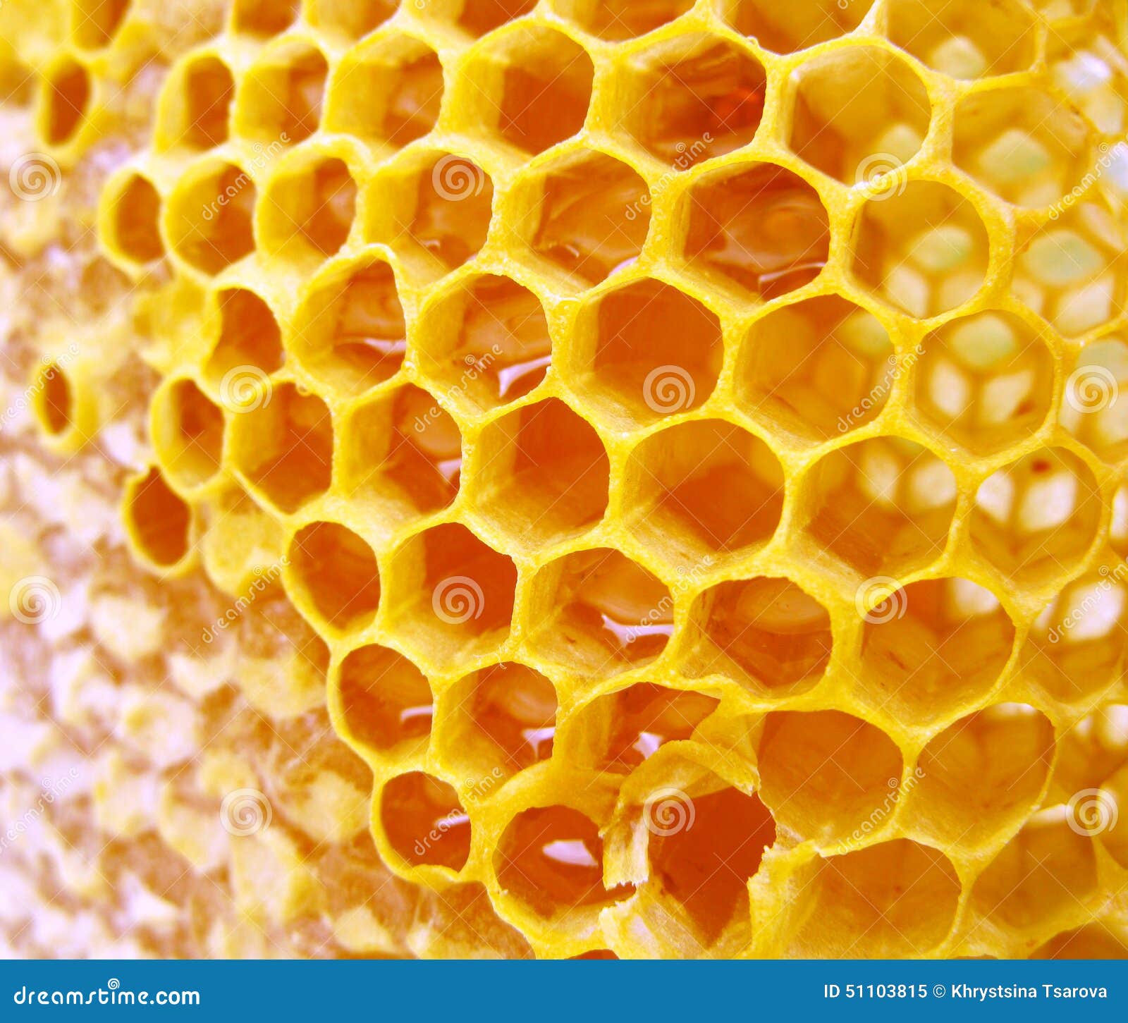 Macro hineycomb with honey stock image. Image of klar - 51103815