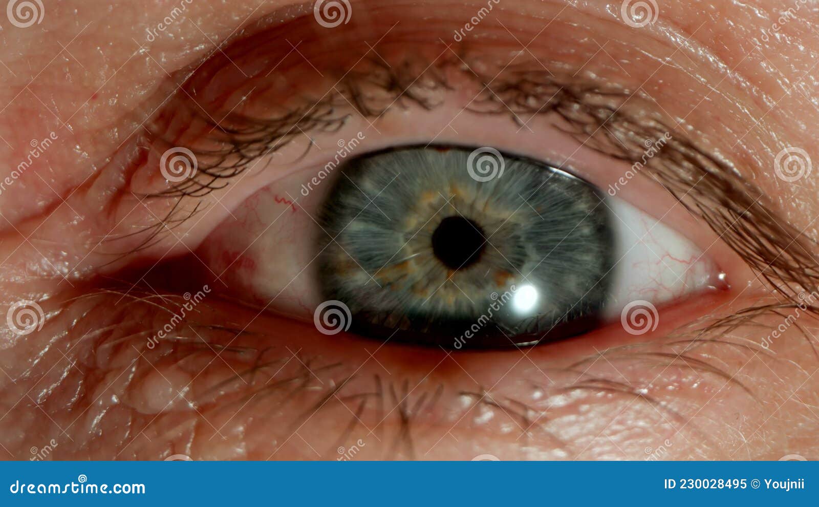 MACRO: Human Eye Opening, Close Shot Stock Image - Image of woman ...