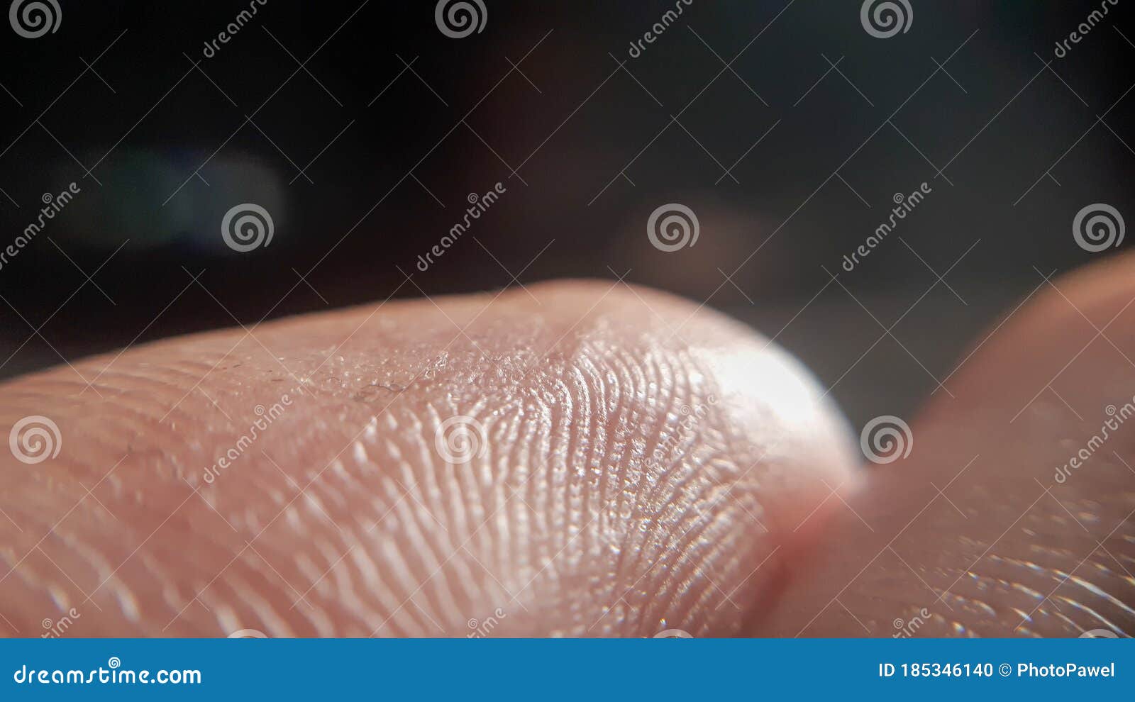 Macro Human Fingerprint, Closeup Caucasian Stock Photo - Image of skin ...