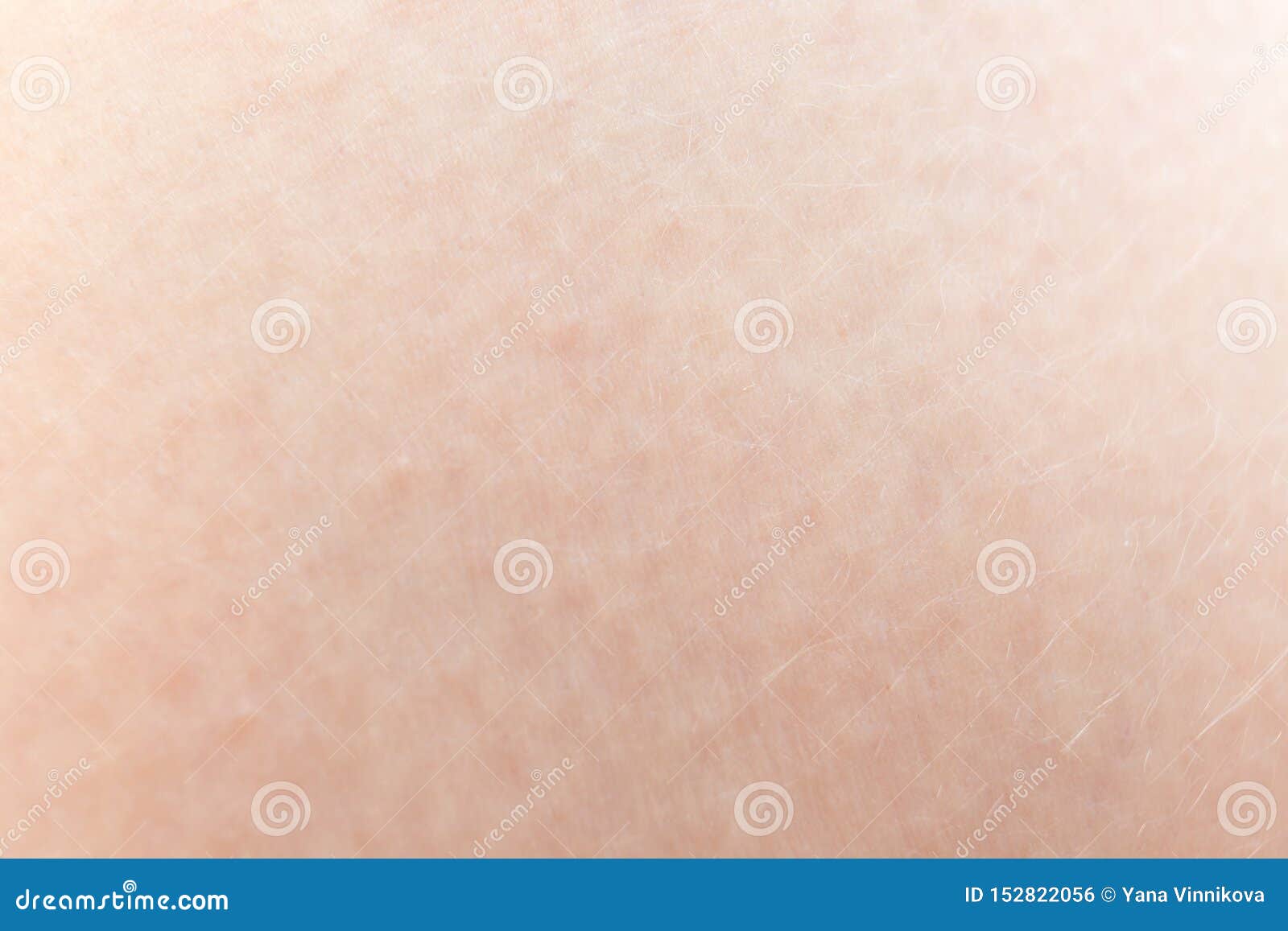Macro of Human Skin. Human Skin Texture Stock Photo - Image of covering ...