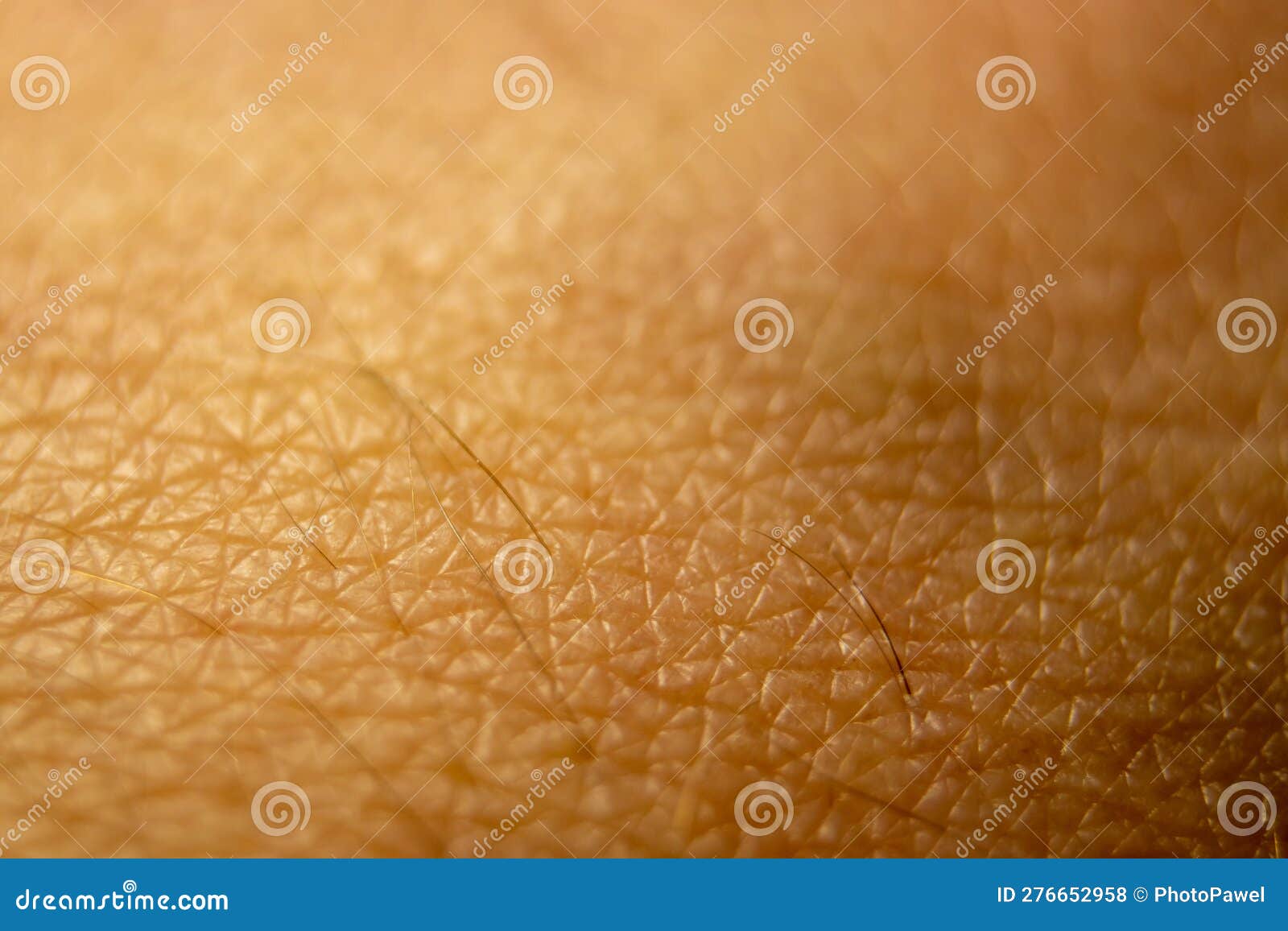 Macro Human Skin Texture. Closeup Skin Pattern. Medicine Healthy ...