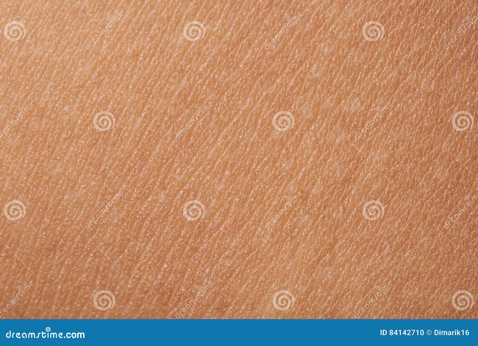 Macro Of Human Skin Stock Photo | CartoonDealer.com #84142710