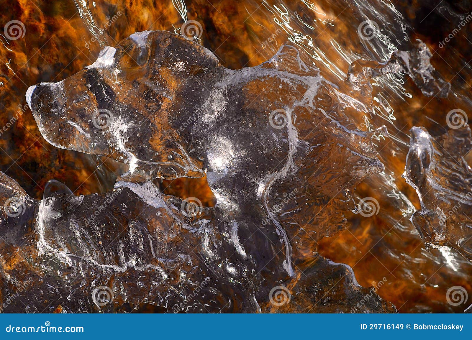 Macro Ice on Leaves stock image. Image of amber, leaves - 29716149