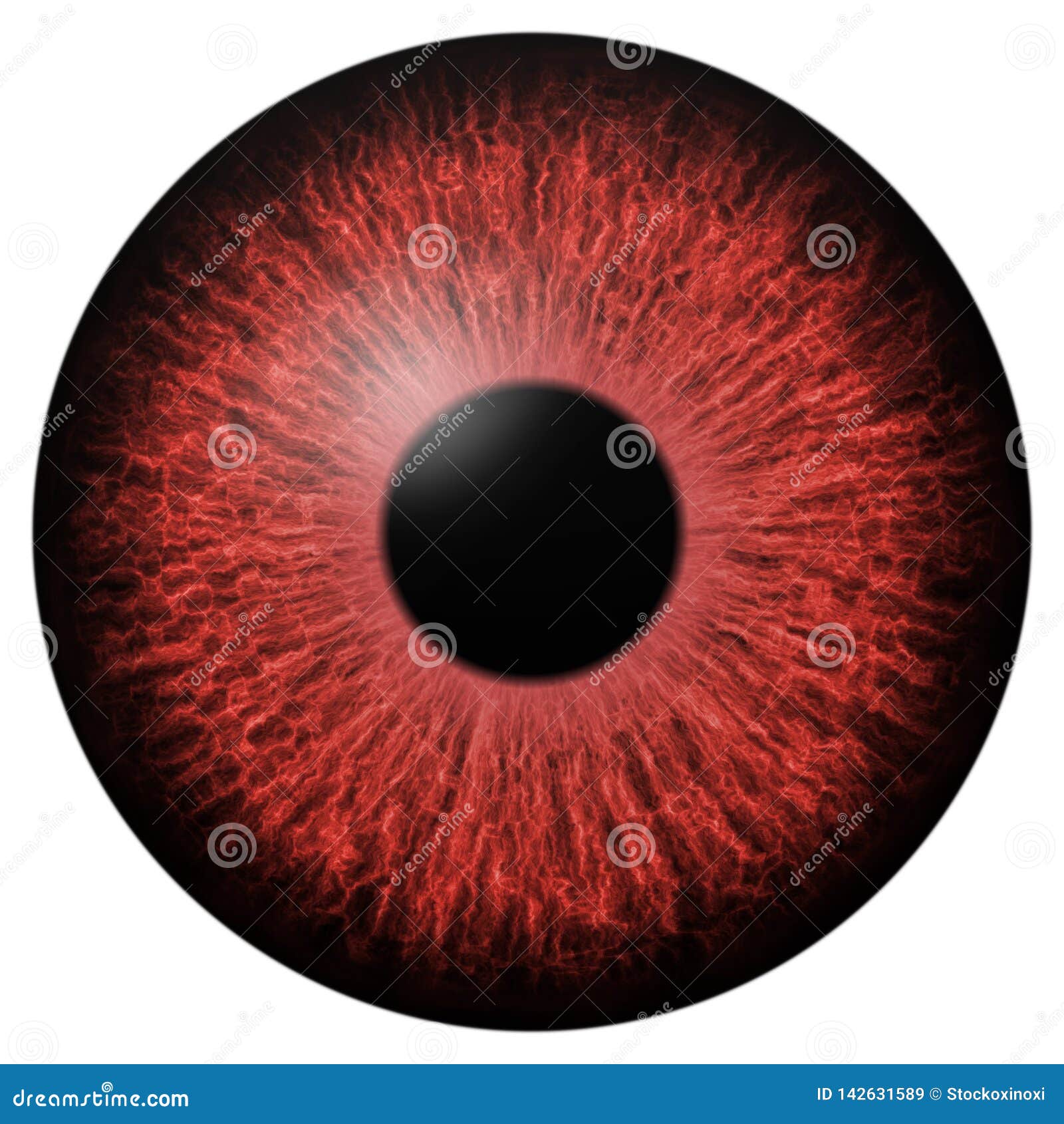 Macro Illustration D'iris Rouge D'oeil Illustration Stock ...