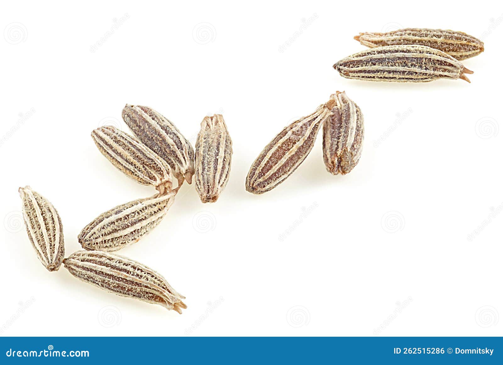 Macro Image of Cumin Seeds Isolated on White Background. Caraway Stock ...