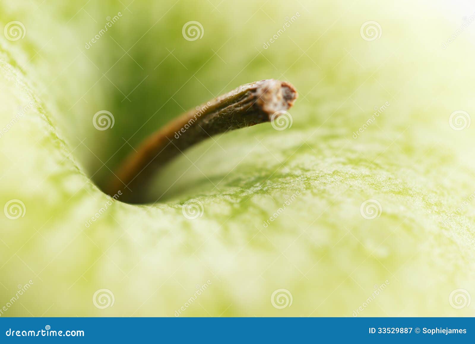 A Macro Image of a Green Apple with Stem Stock Image - Image of close ...