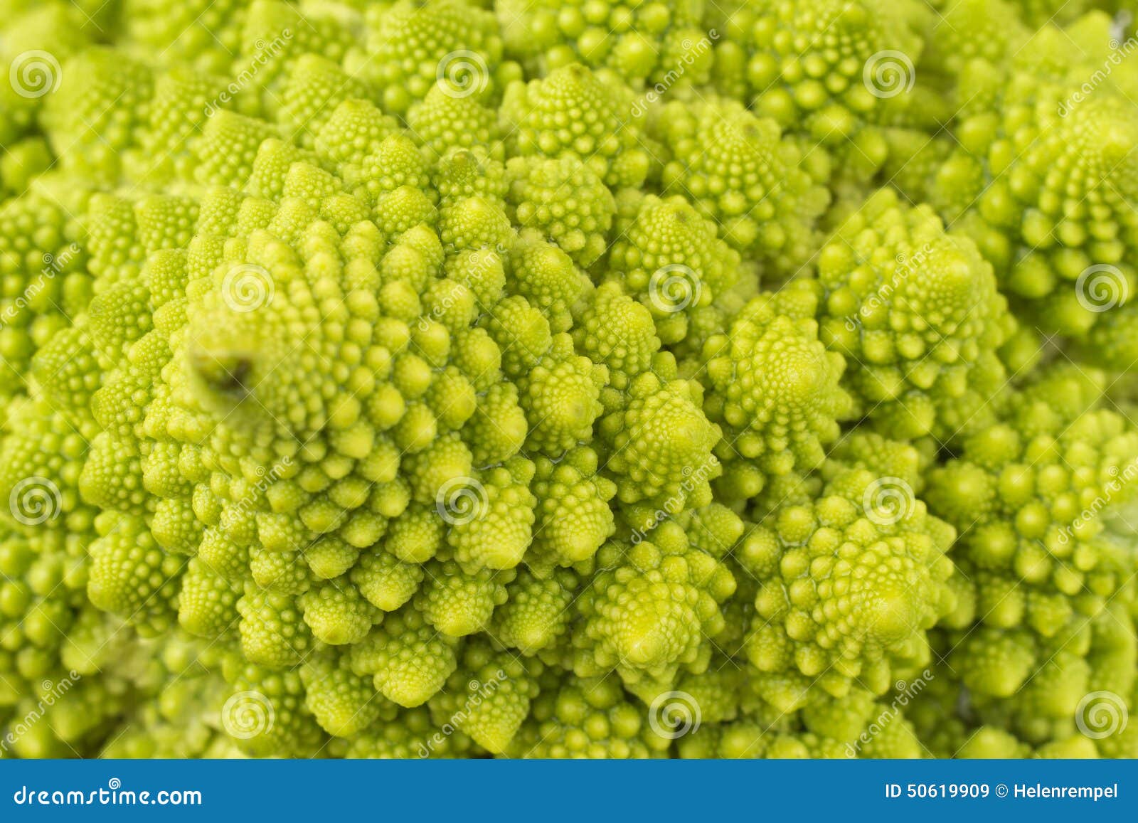 Romanesco Cauliflower Texture Royalty-Free Stock Photo | CartoonDealer ...