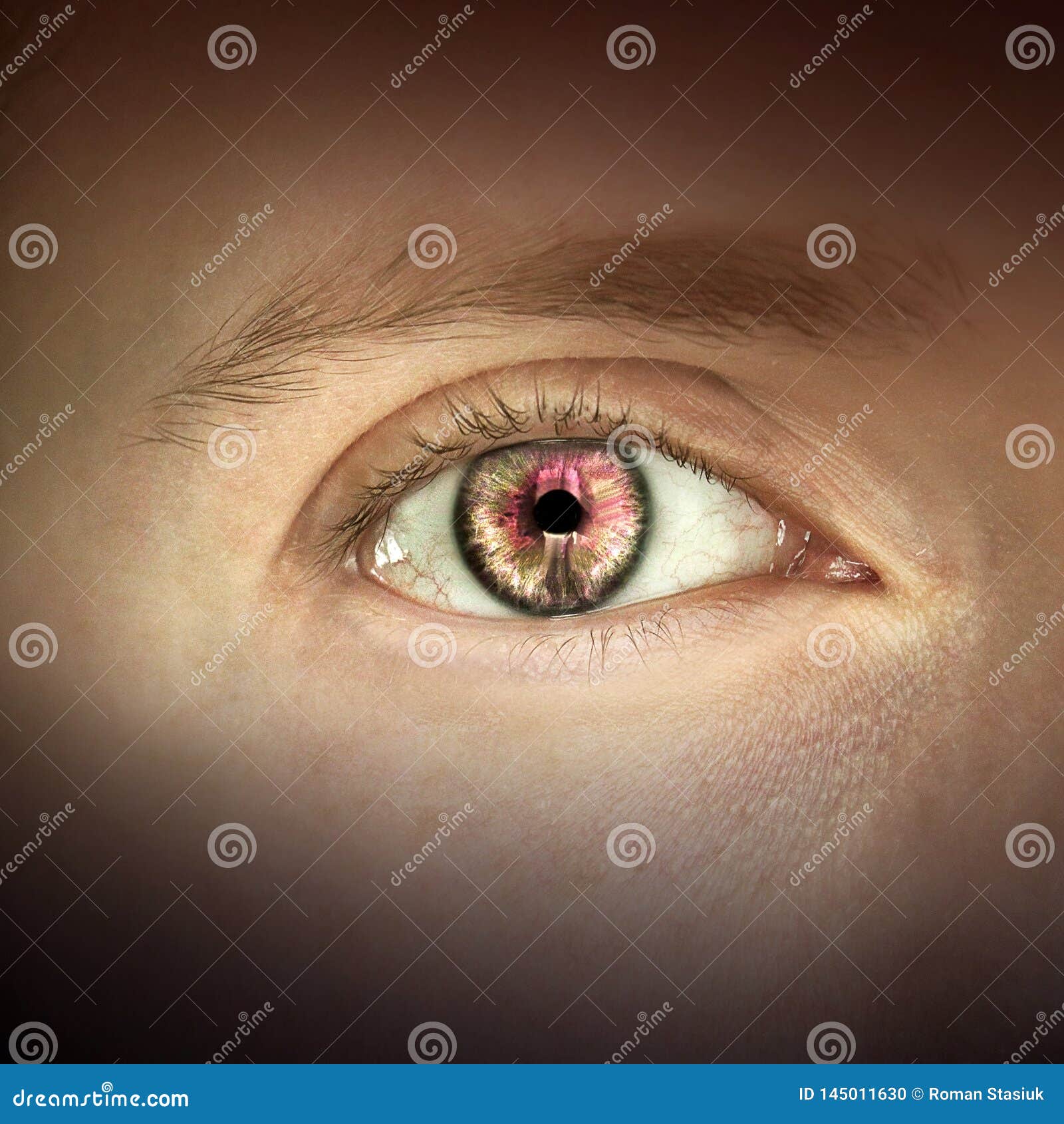 Macro image of human eye stock photo. Image of human - 145011630