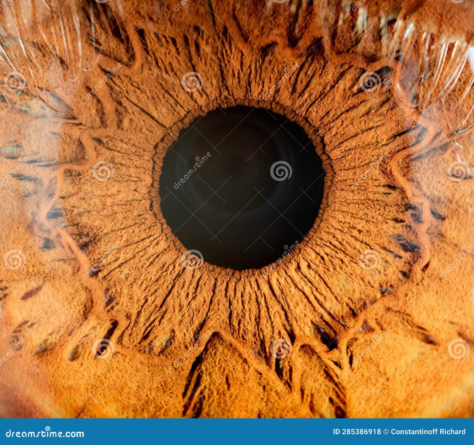 Macro Image of Human Eye - Sharp Details Stock Photo - Image of healthy ...